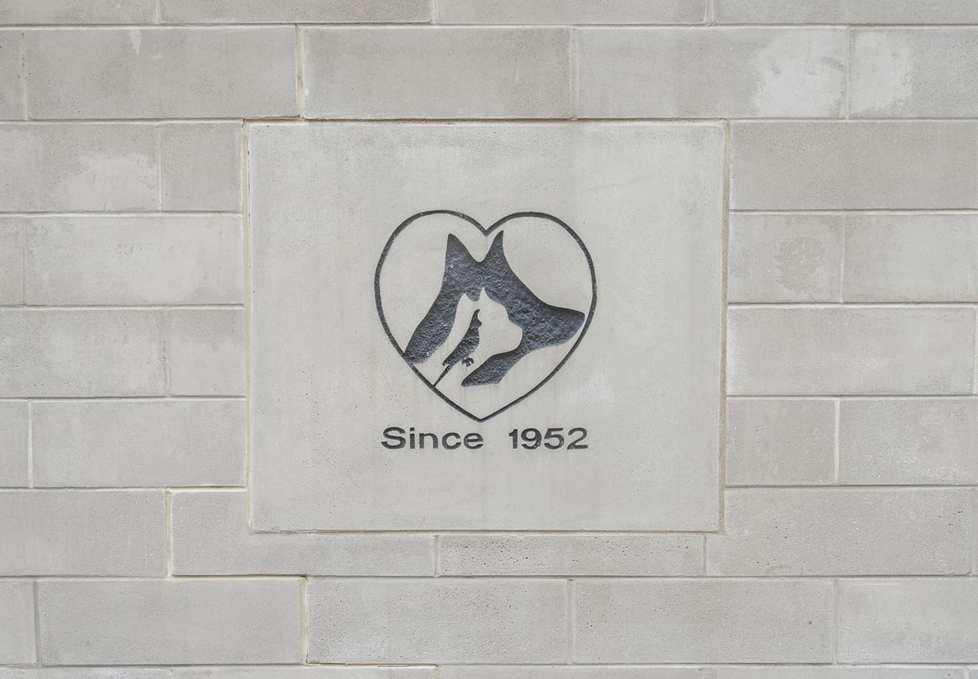 Blum Animal Hospital | Veterinary Hospital Architecture | Apex Design Build