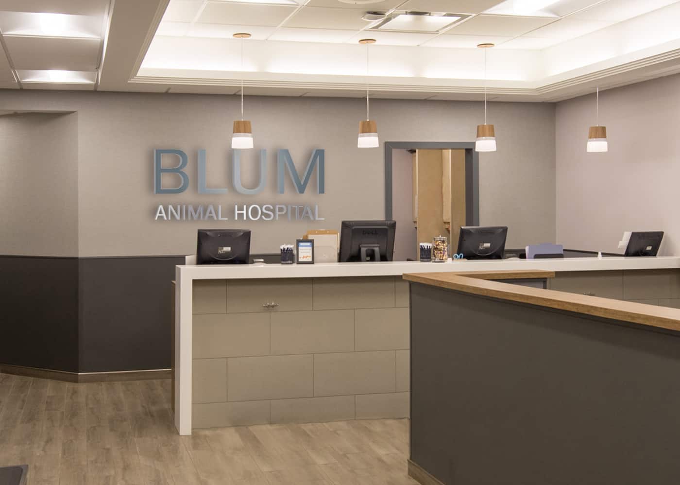 Blum Animal Hospital | Veterinary Hospital Architecture | Apex Design Build
