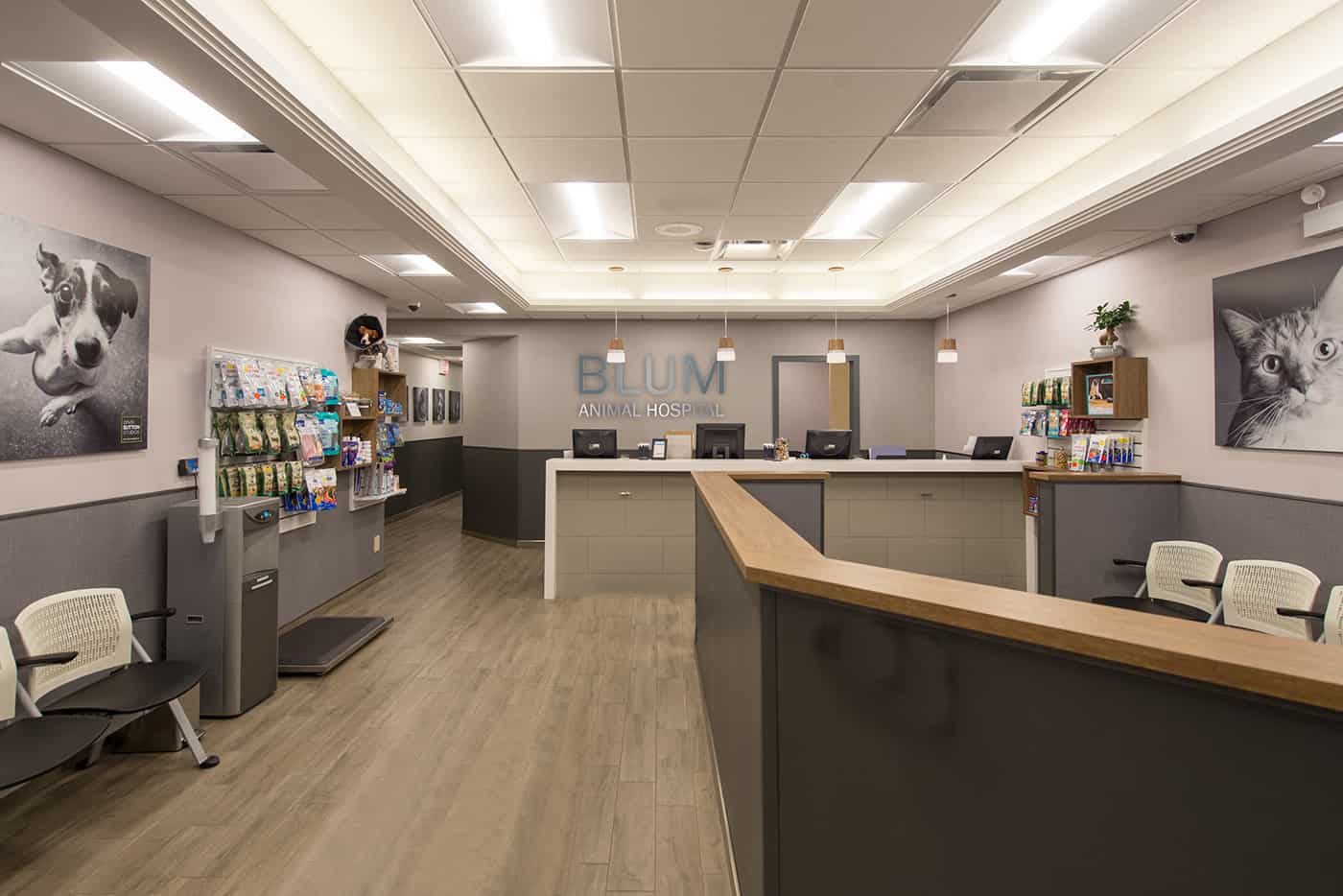 Blum Animal Hospital | Veterinary Hospital Architecture | Apex Design Build