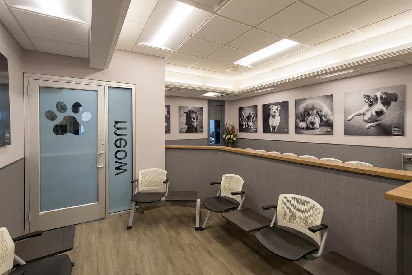 Blum Animal Hospital | Veterinary Hospital Architecture | Apex Design Build