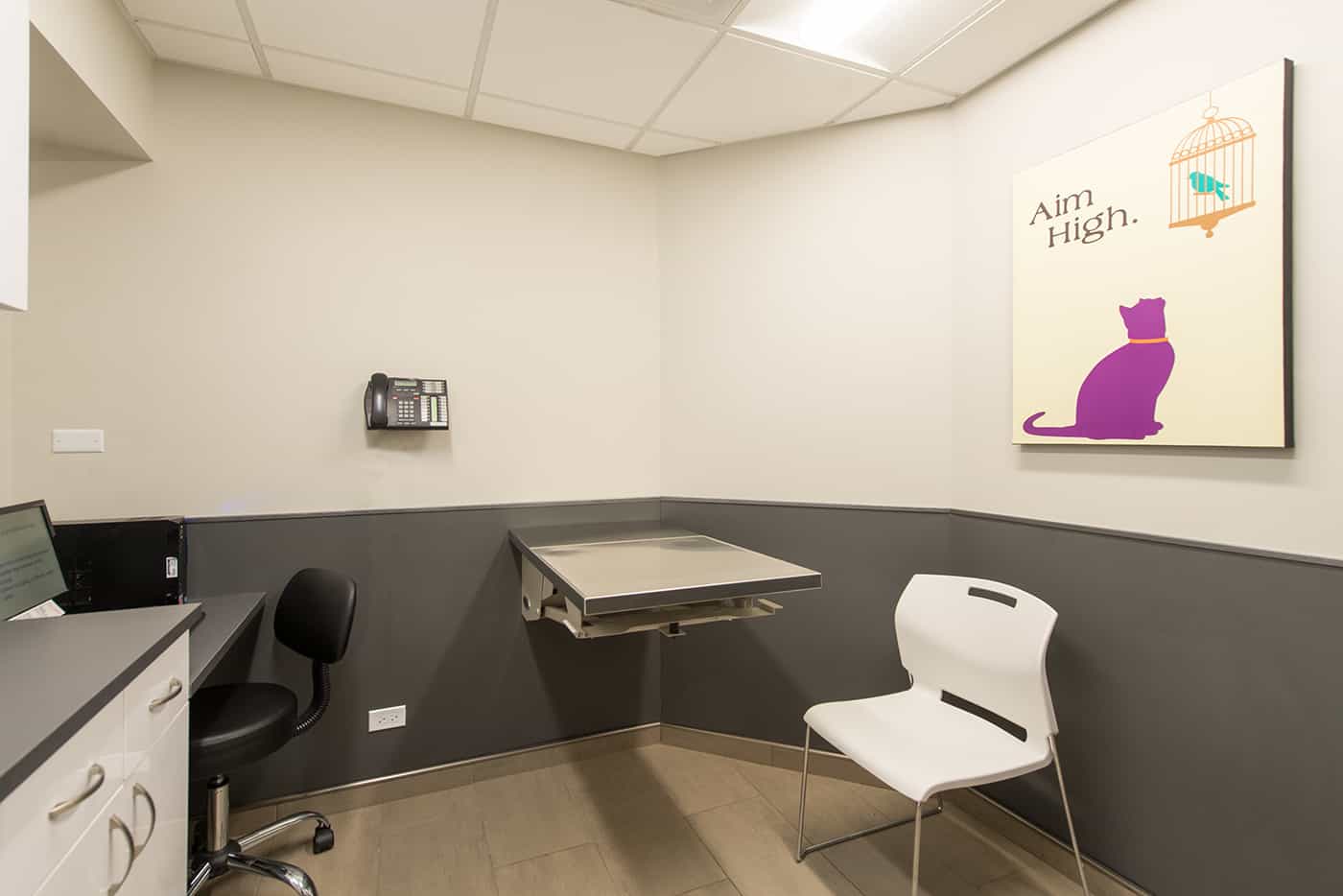 Blum Animal Hospital | Veterinary Hospital Architecture | Apex Design Build